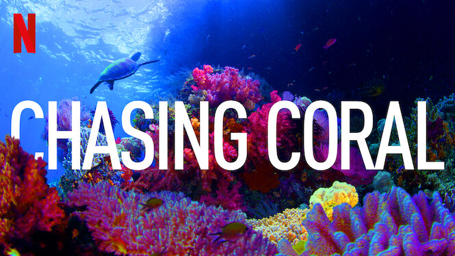 Is 'Chasing Coral' on Netflix UK? Where to Watch the Documentary - New ...